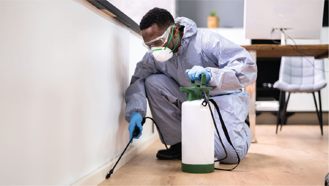 Cleaning Services in Uganda - Max Cleaning Uganda